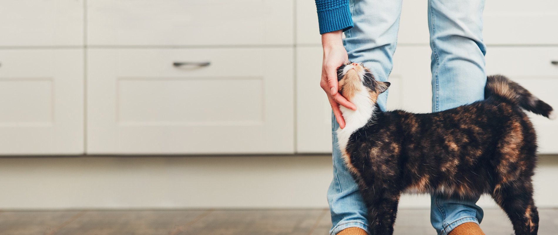 Tax Audit - Tax Defense Network | Tax Relief Services