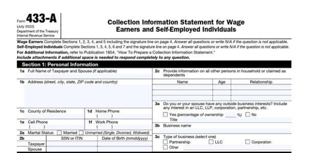 IRS Form 433-A, Collection Information Statement